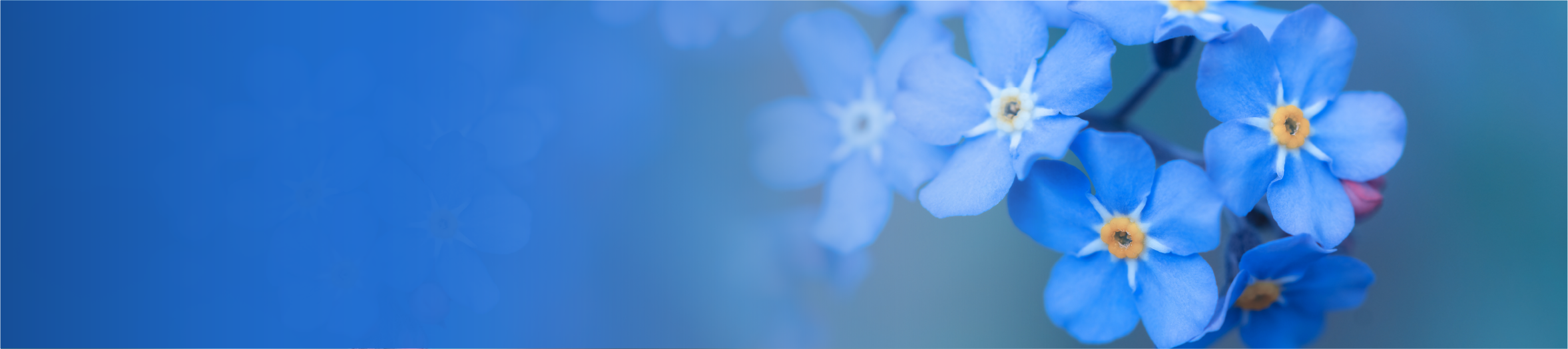 Dementia & Alzheimer's Care Guide | Diagnosis, Types & Support