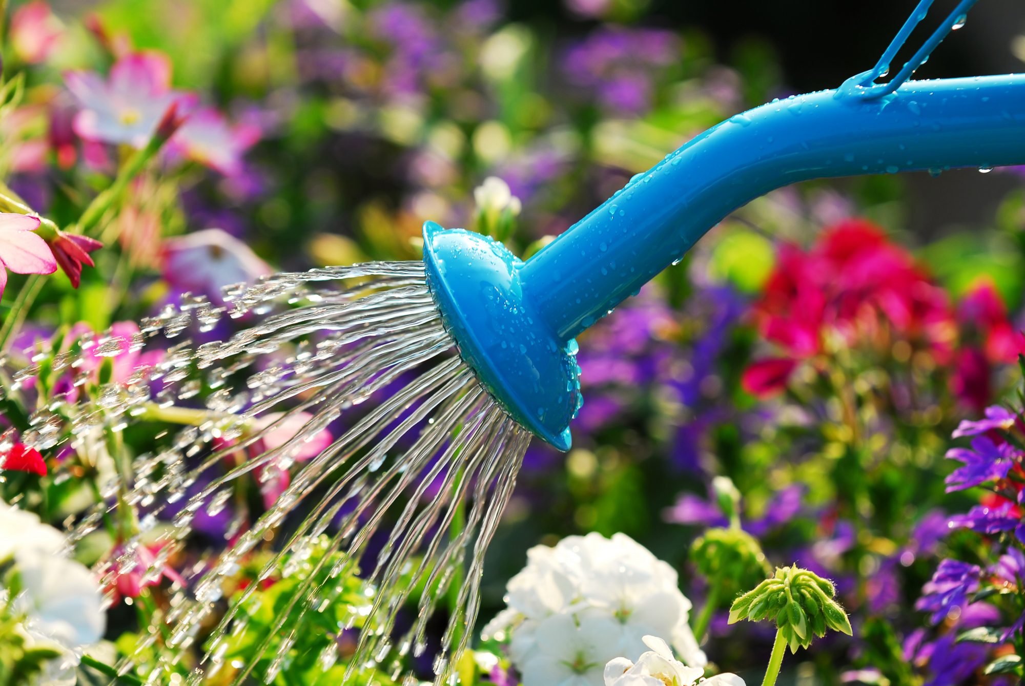 Best Activities For People With Dementia Best Activities For People With Dementia